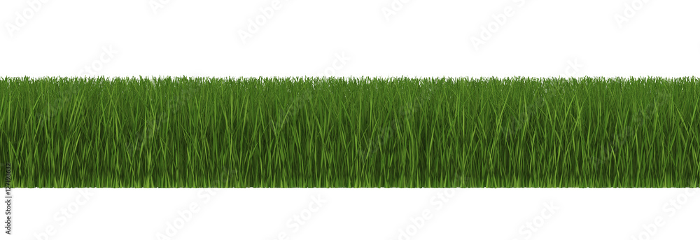 Foto de green grass side view isolated on white do Stock | Adobe Stock