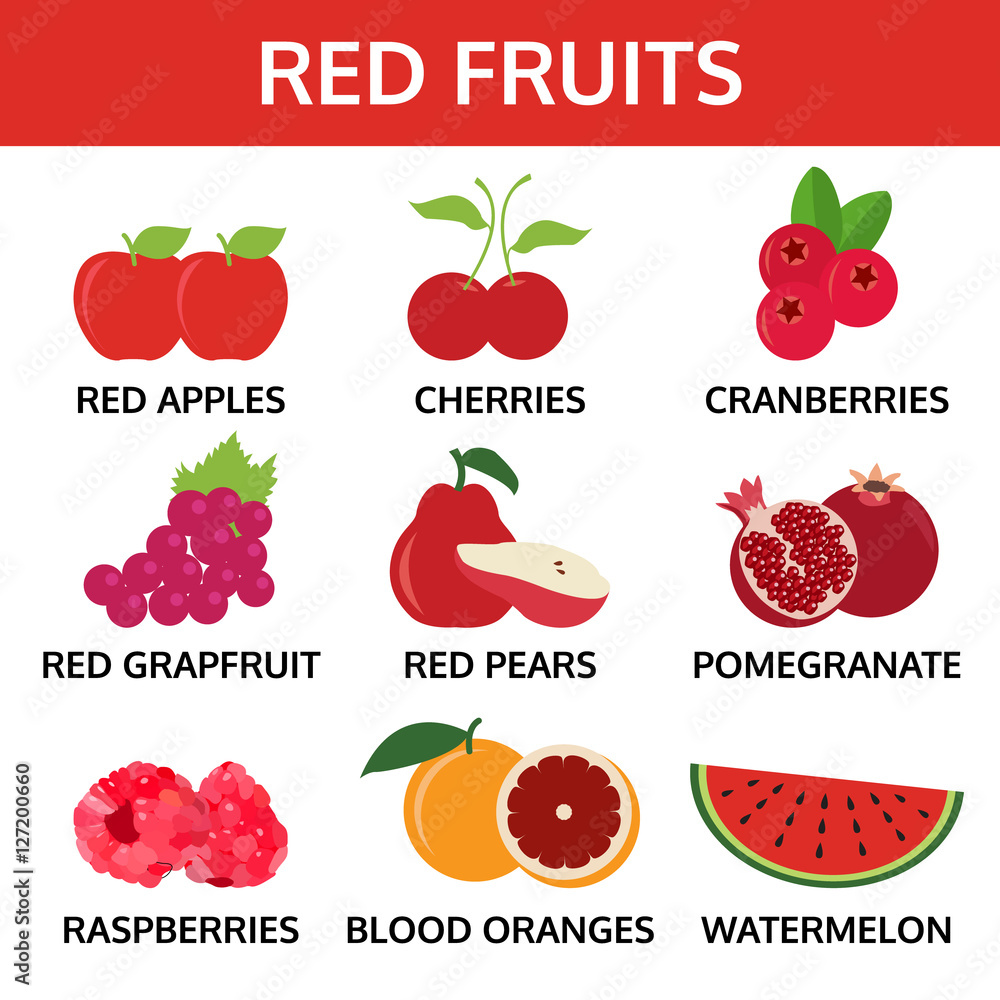 red fruits collection, food vector illustration Stock Vector | Adobe Stock
