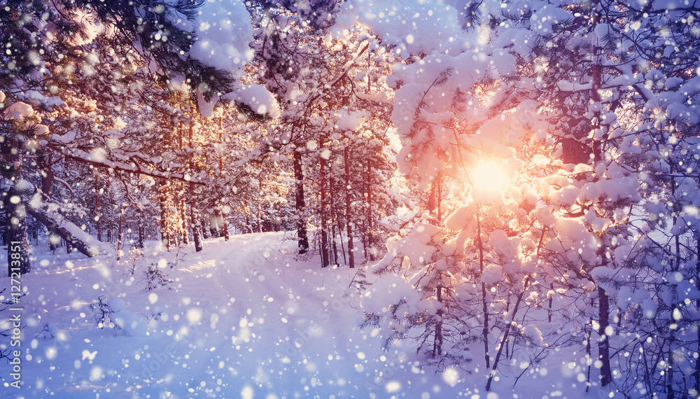 Pretty Pictures Of Winter