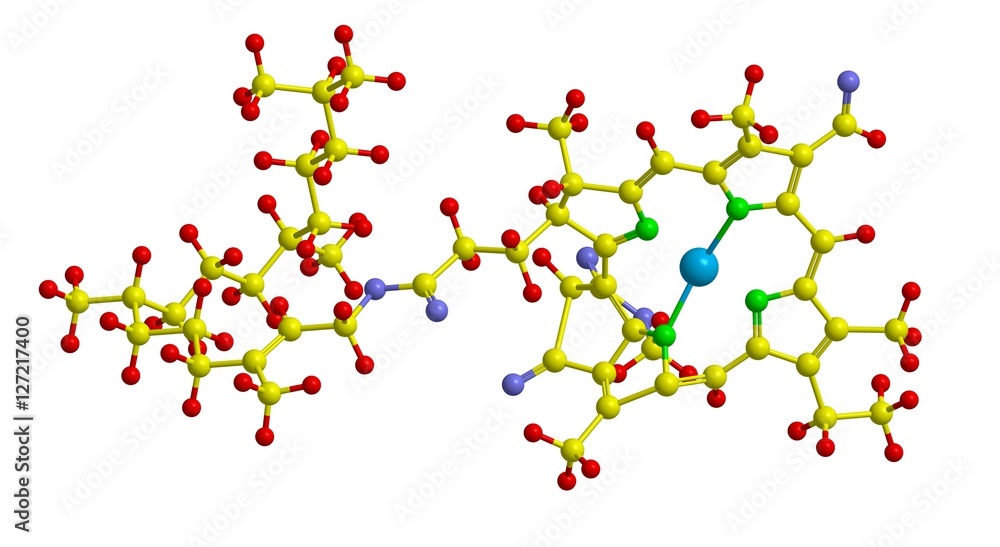 Chlorophyll 3d Structure