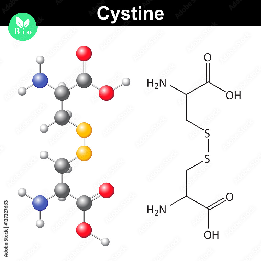 Cystine dipeptide molecular structure, cysteine dimer Stock Vector ...