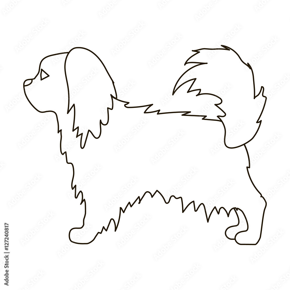 Pekingese icon in outline style isolated on white background. Dog ...
