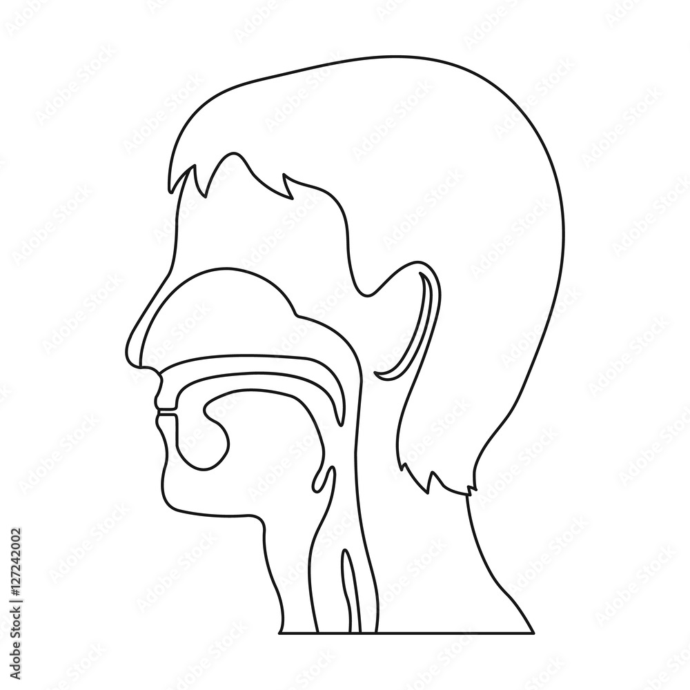 Respiratory system icon in outline style isolated on white background ...