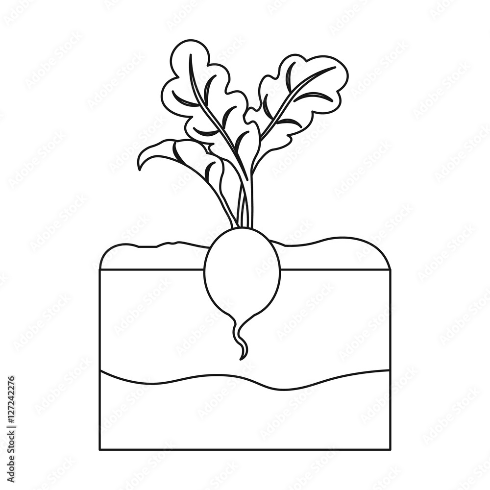 Radish icon in outline style isolated on white background. Plant symbol ...