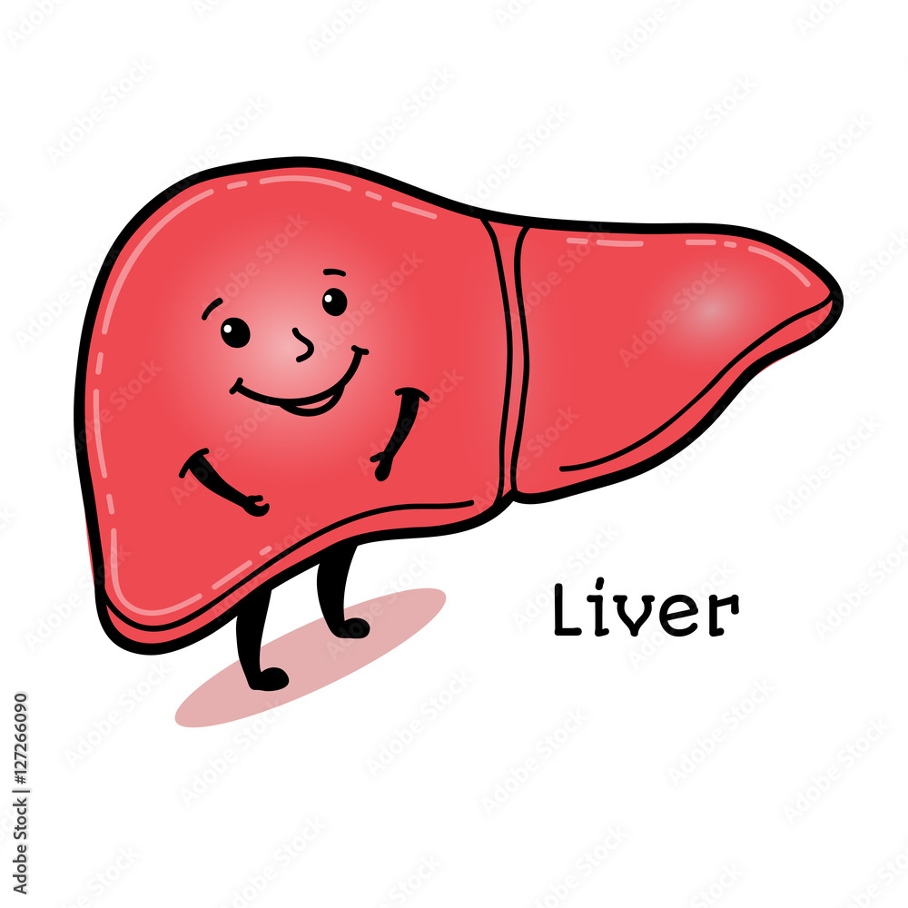 Cute and funny human liver character, cartoon vector illustration ...