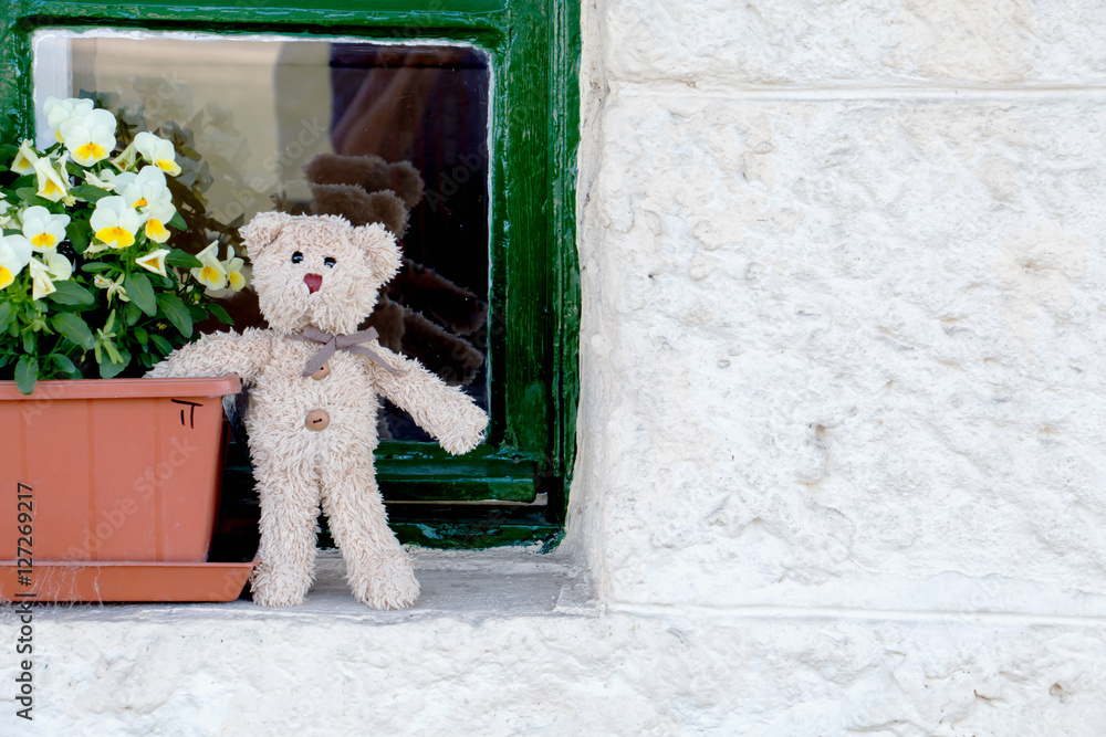 teddy bear with window Stock Photo | Adobe Stock