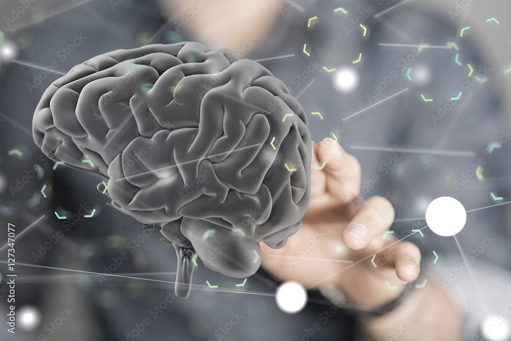 brain Stock Photo | Adobe Stock