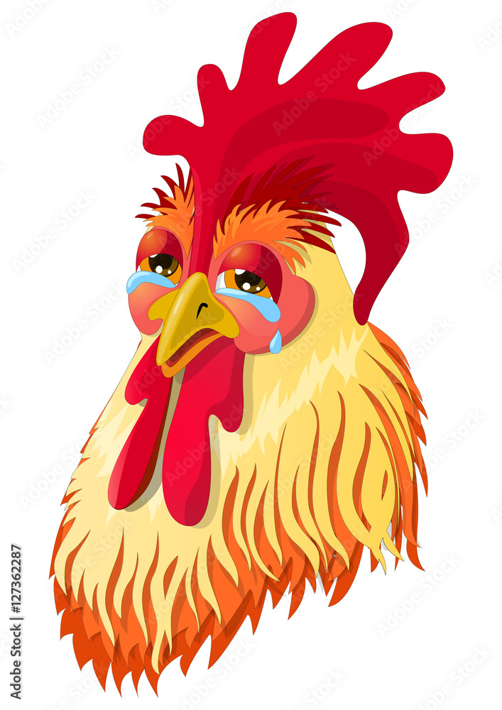 The emotional version of the character - rooster in tears, sad cock. Vector illustration. vector ...