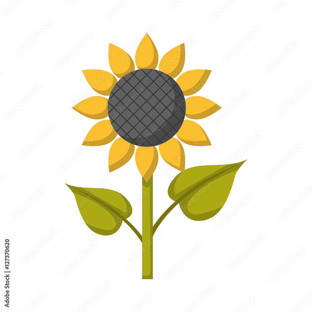 Vector cartoon isolated sunflower icon Stock Vector | Adobe Stock