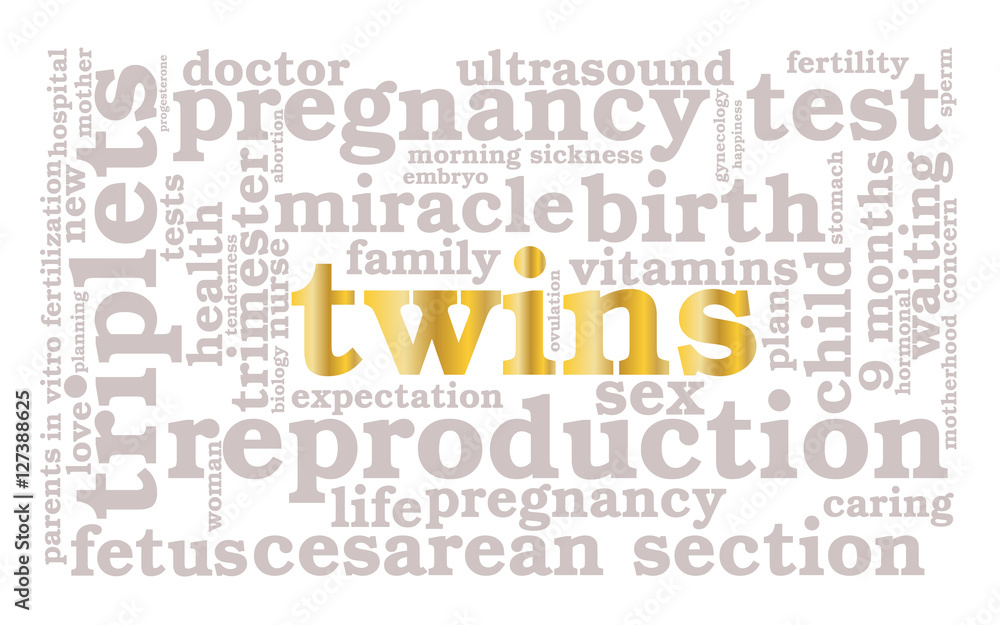 Twins. Word cloud, golden font, white background. The miracle of birth ...