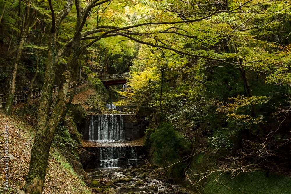 Creek at Yoro Waterfall in Gifu, Japan, November, 2016 Stock Photo ...