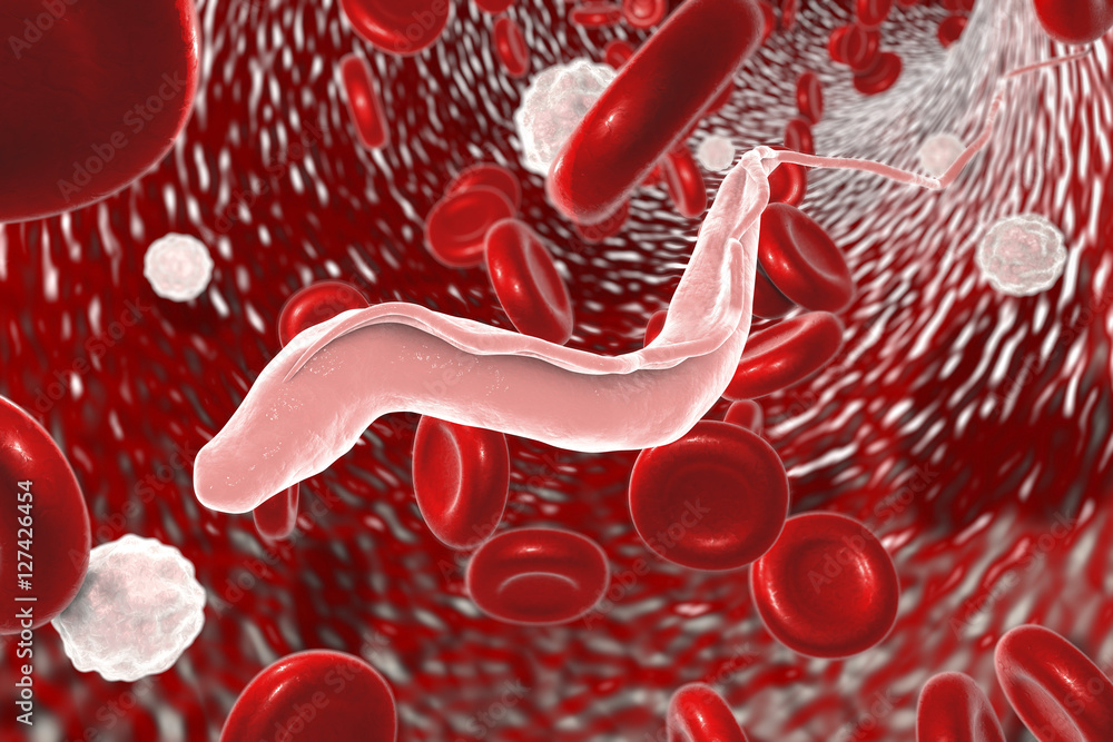 Sleeping Sickness Parasite