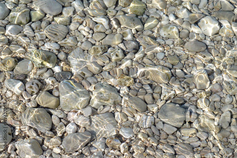 Pebbles in the clear water Stock Photo | Adobe Stock