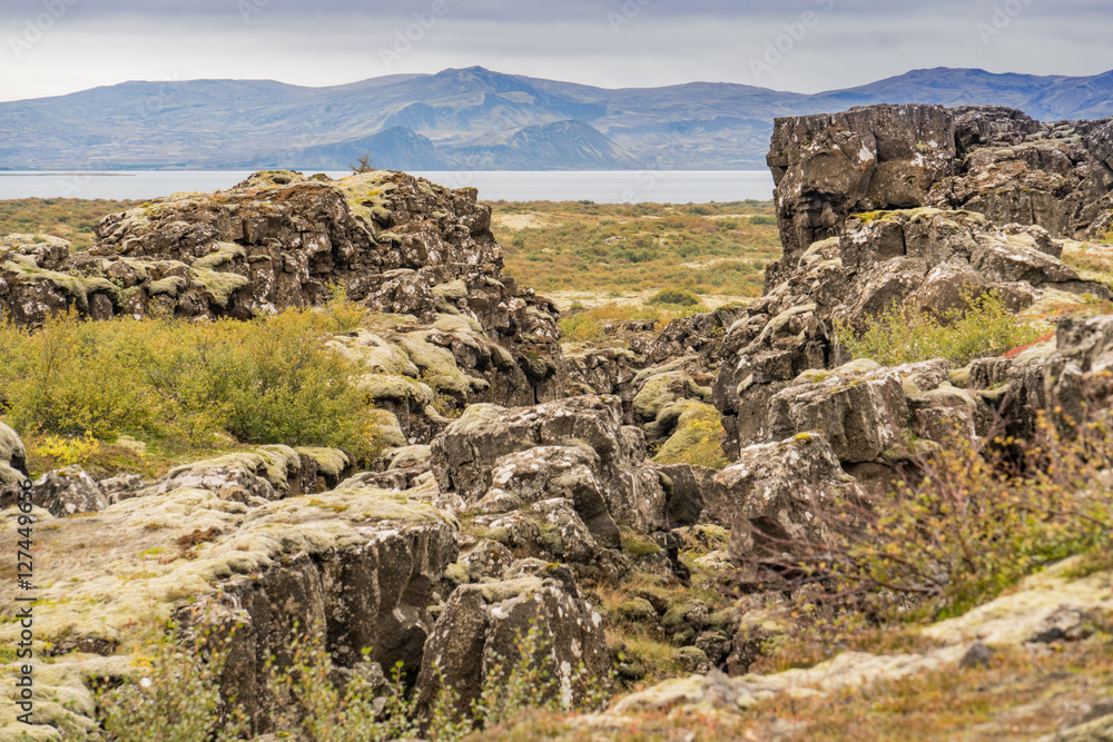 Exposed Geological fault lines alongside the road in Iceland near the ...