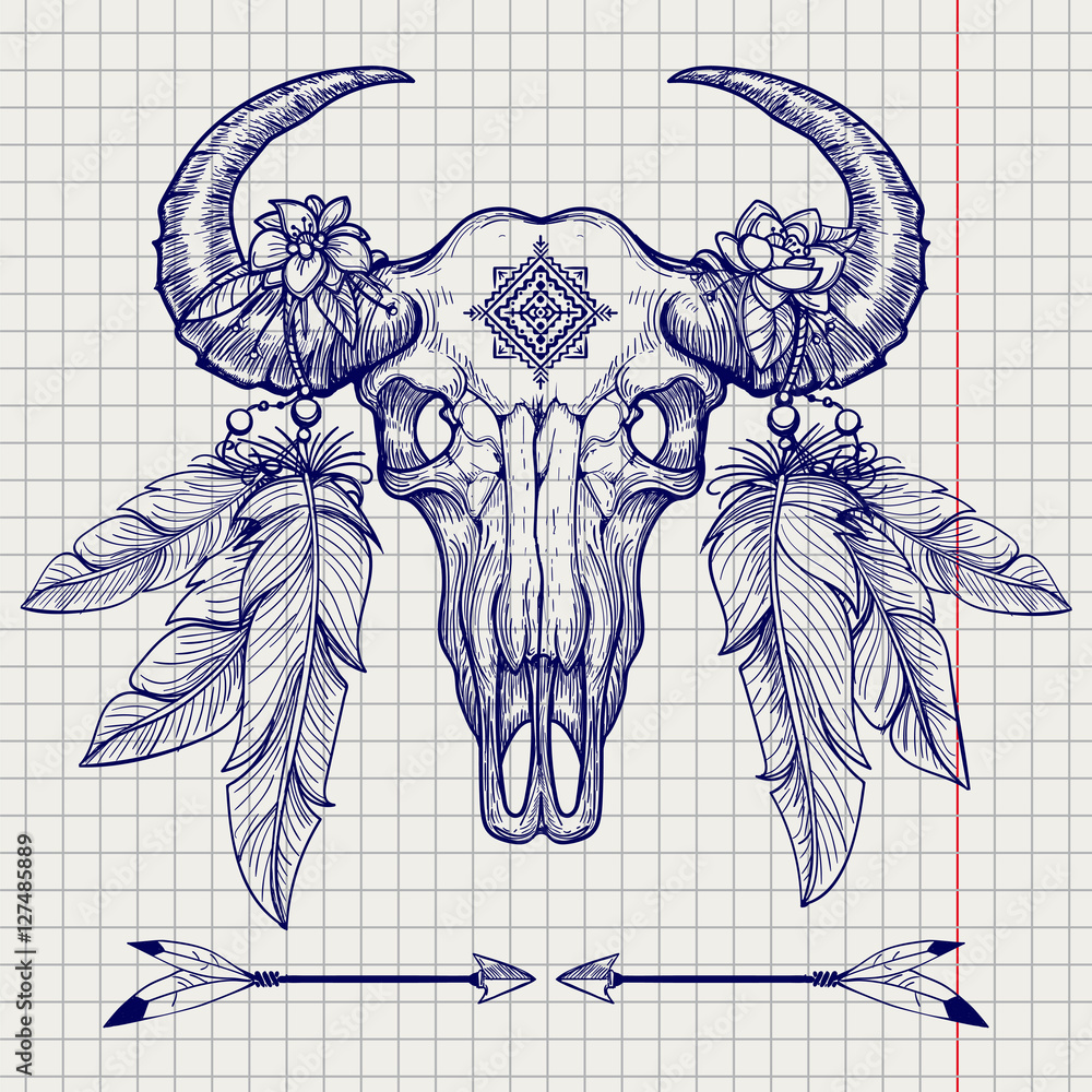 Buffalo Skull Drawing
