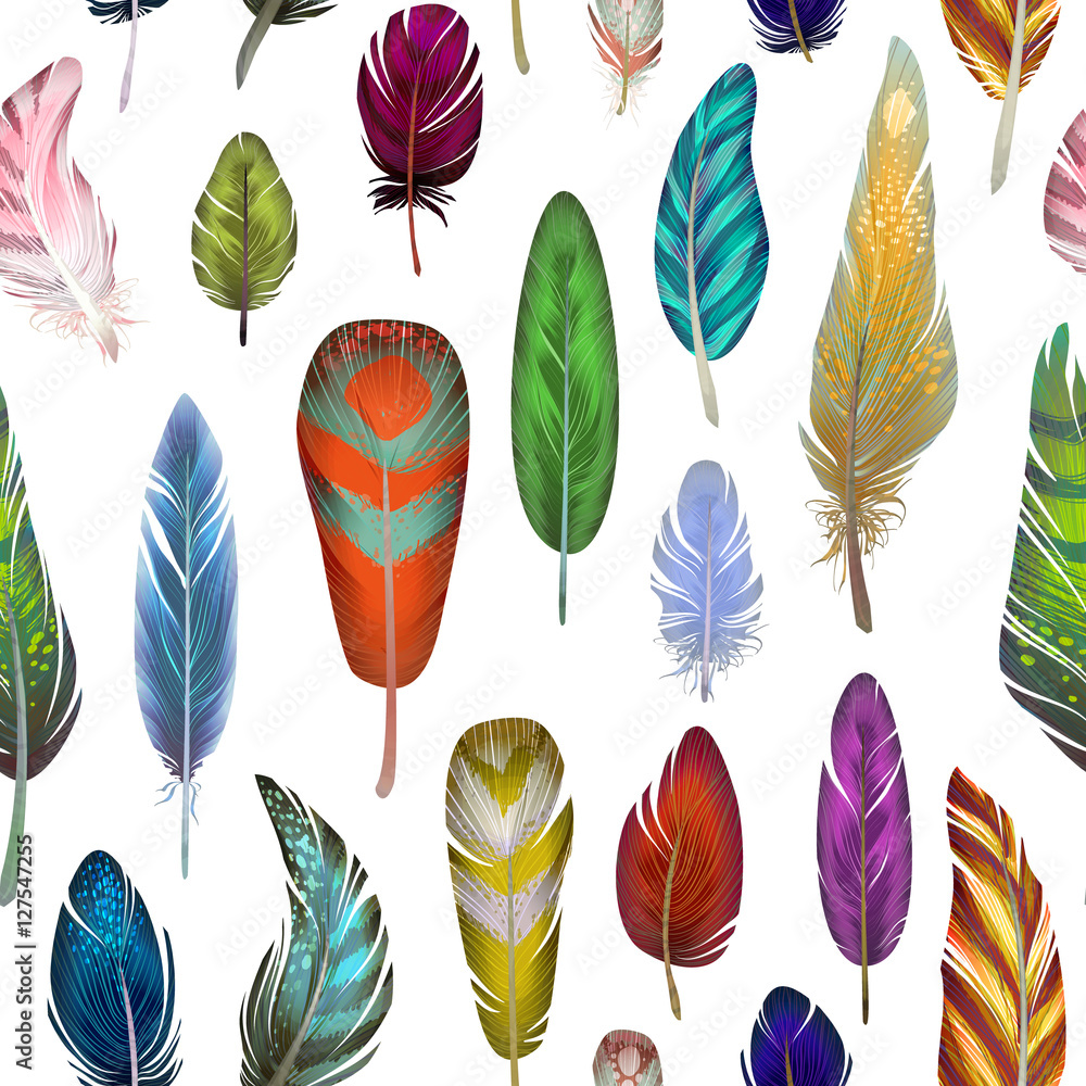 Colorful detailed bird feathers pattern, watercolor design set. Hand ...