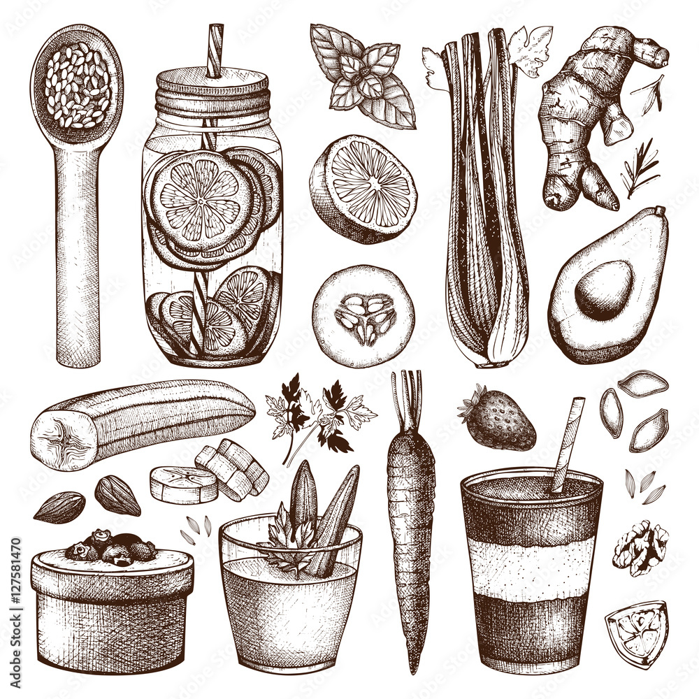 Vector collection of hand drawn vegetarian food and drinks ingredients ...