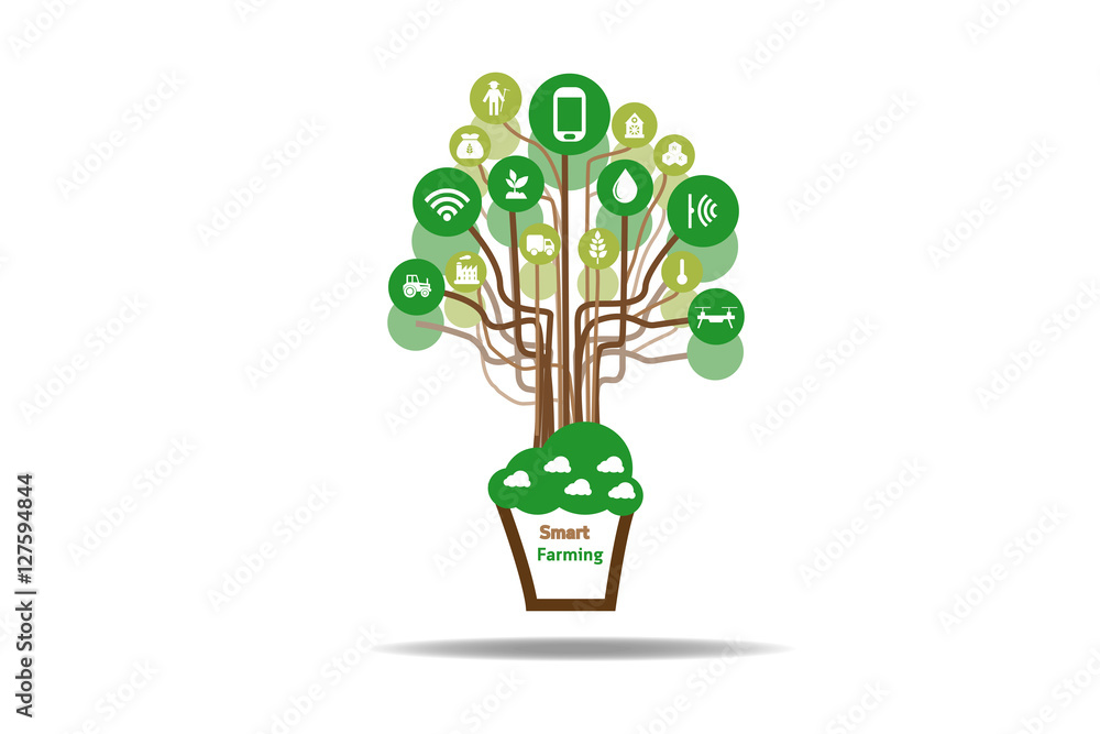 Internet of things(agriculture concept),smart farming, smart ...