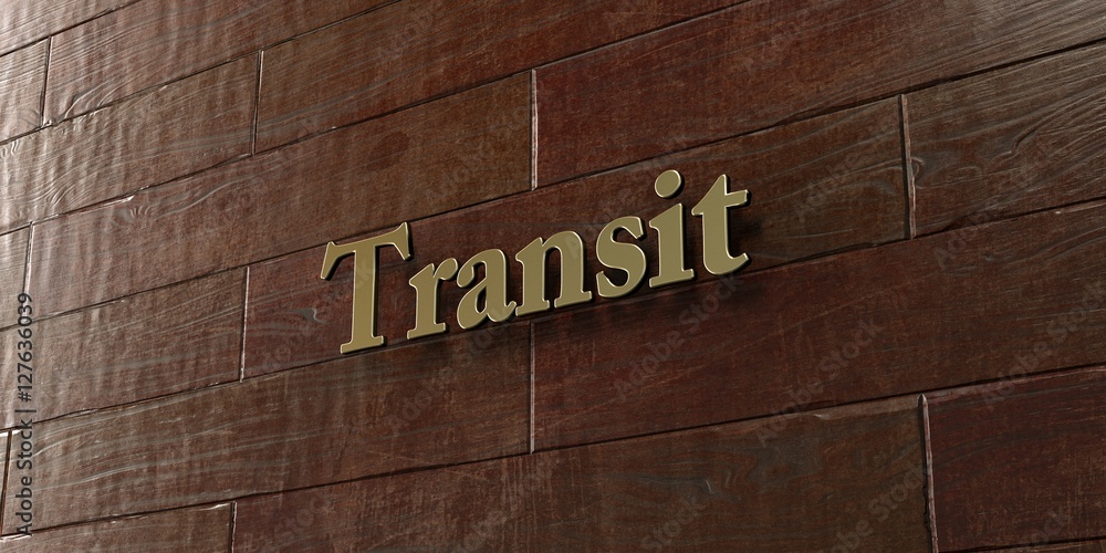 Transit - Bronze plaque mounted on maple wood wall - 3D rendered ...