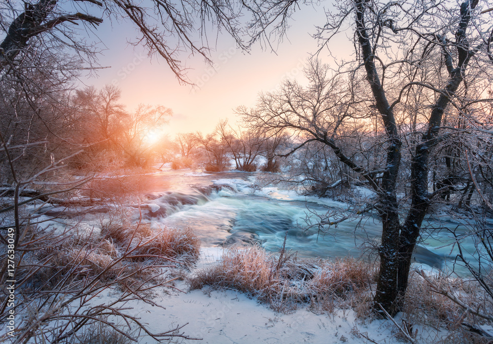 Frost Forest Background