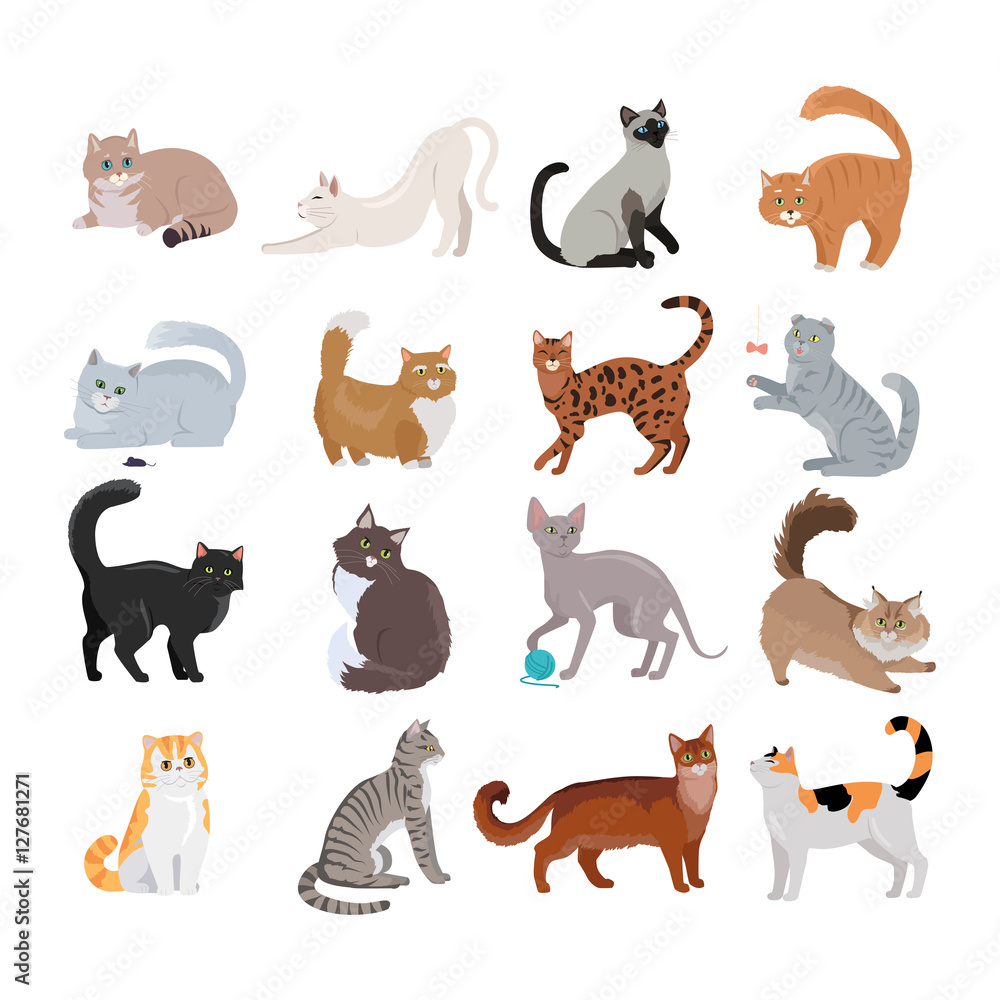Vetor de Set of Icons with Cats. Flat Design Vector. do Stock | Adobe Stock
