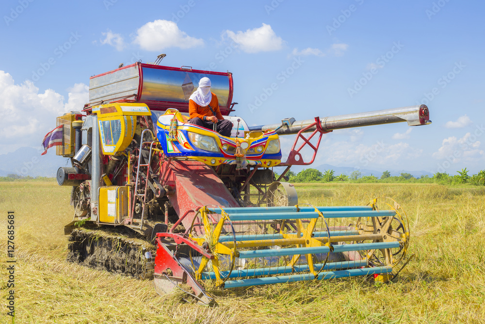 Farmer doing harvest by harvester. Stock Photo | Adobe Stock