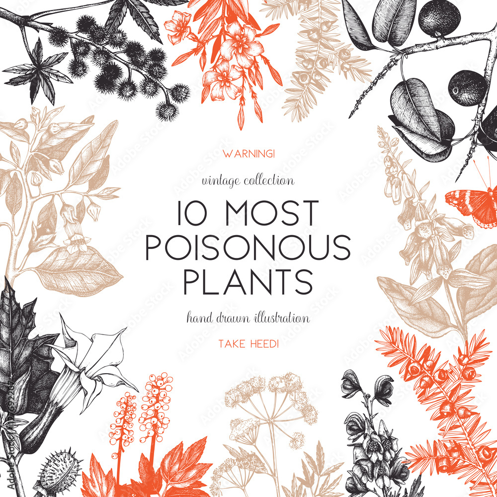 Vector frame design with hand drawn poisonous plants illustration ...