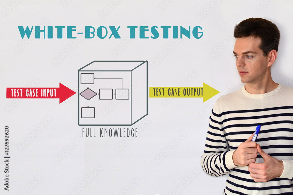 White-box testing as a type of penetration testing Stock-Foto | Adobe Stock