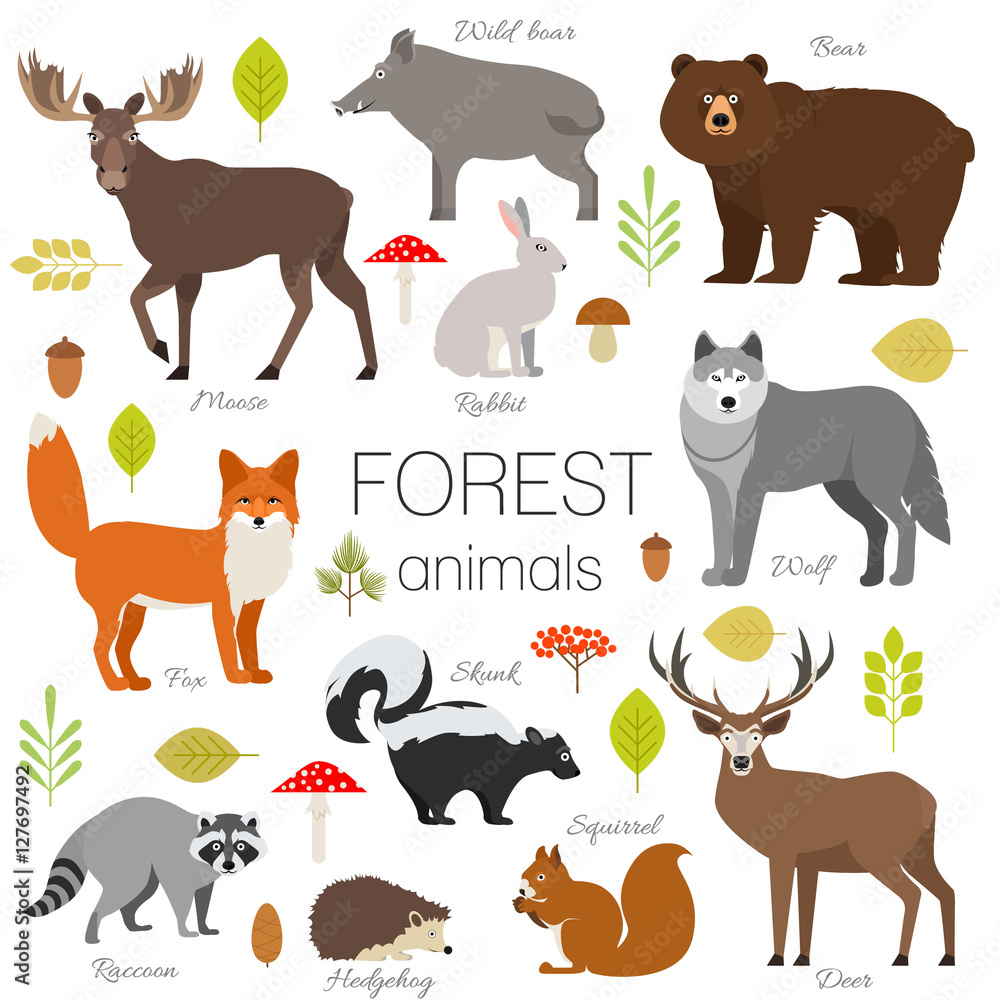 Set of forest animals isolated vector. Moose, wild boar, bear, fox ...