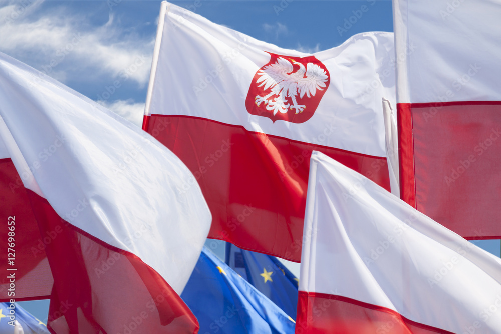 Multiple Polish Flags Flying Against the Sky Stock Photo | Adobe Stock