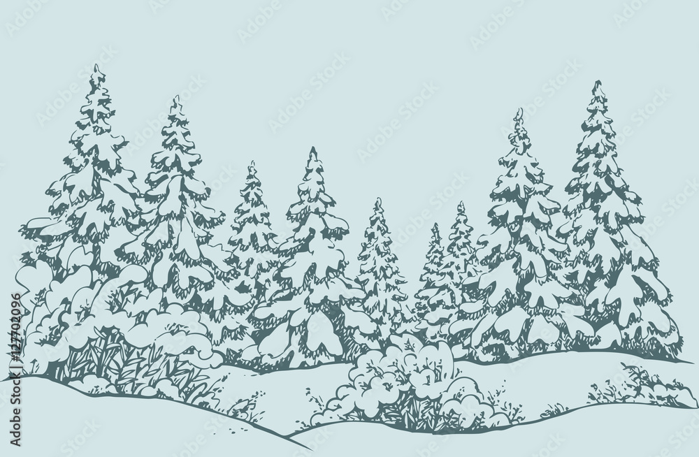 Winter Forest Drawing