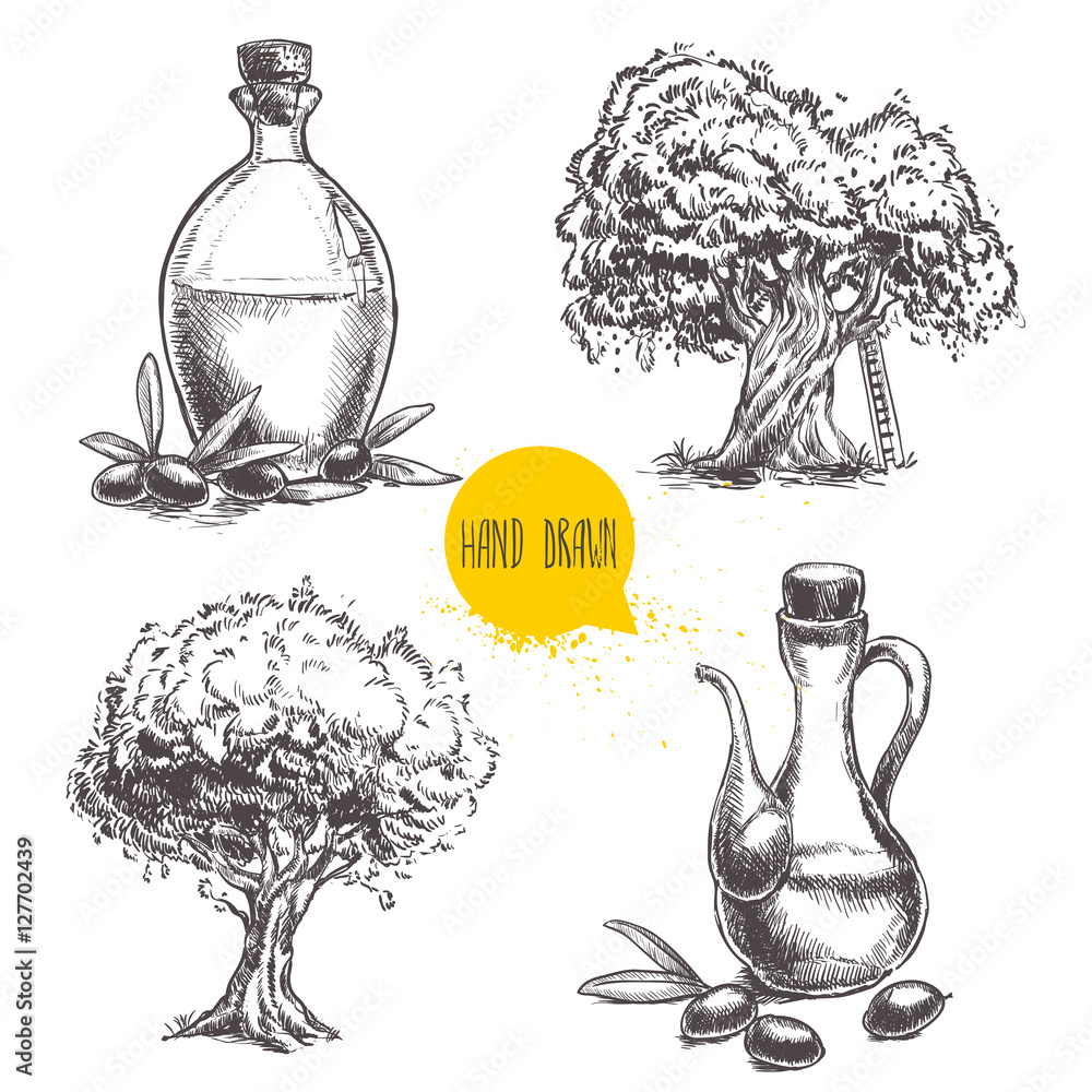 Hand drawn set of olive trees and bottles with olive oil. Sketch style ...