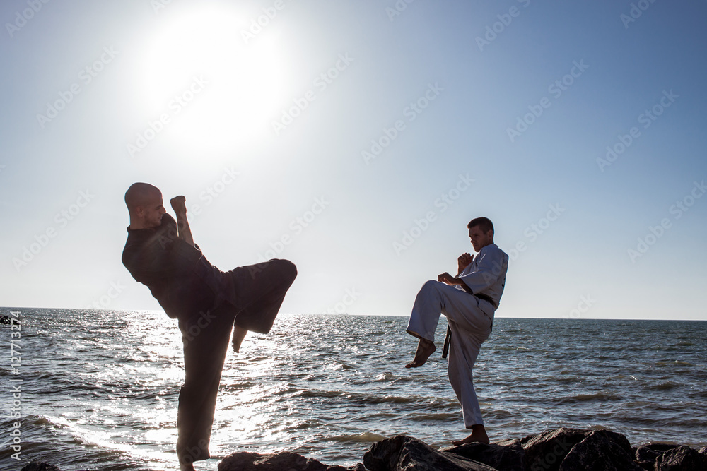 two male Professional karate fighters posing on stones sea background ...