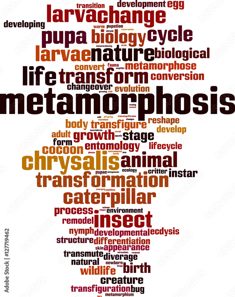 Metamorphosis word cloud concept. Vector illustration Stock Vector ...