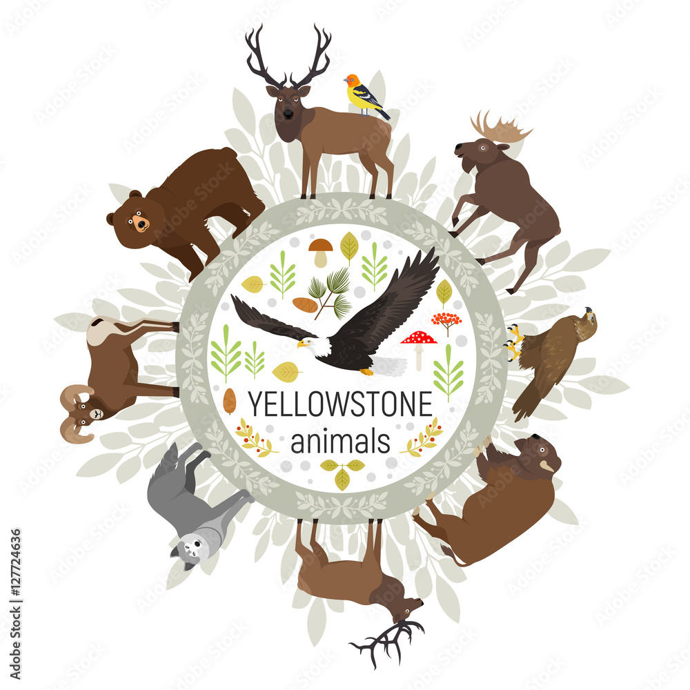 Circle vector template of Yellowstone National Park animals grizzly ...