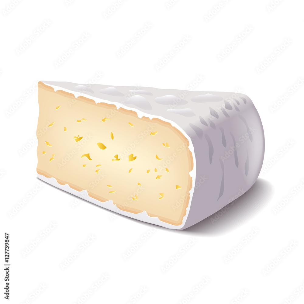 Brie cheese isolated on white vector Stock Vector | Adobe Stock