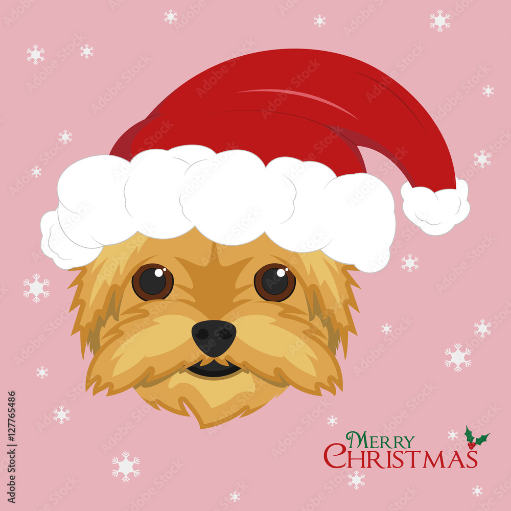 Christmas greeting card. Yorkshire Terrier dog with red Santa's hat ...