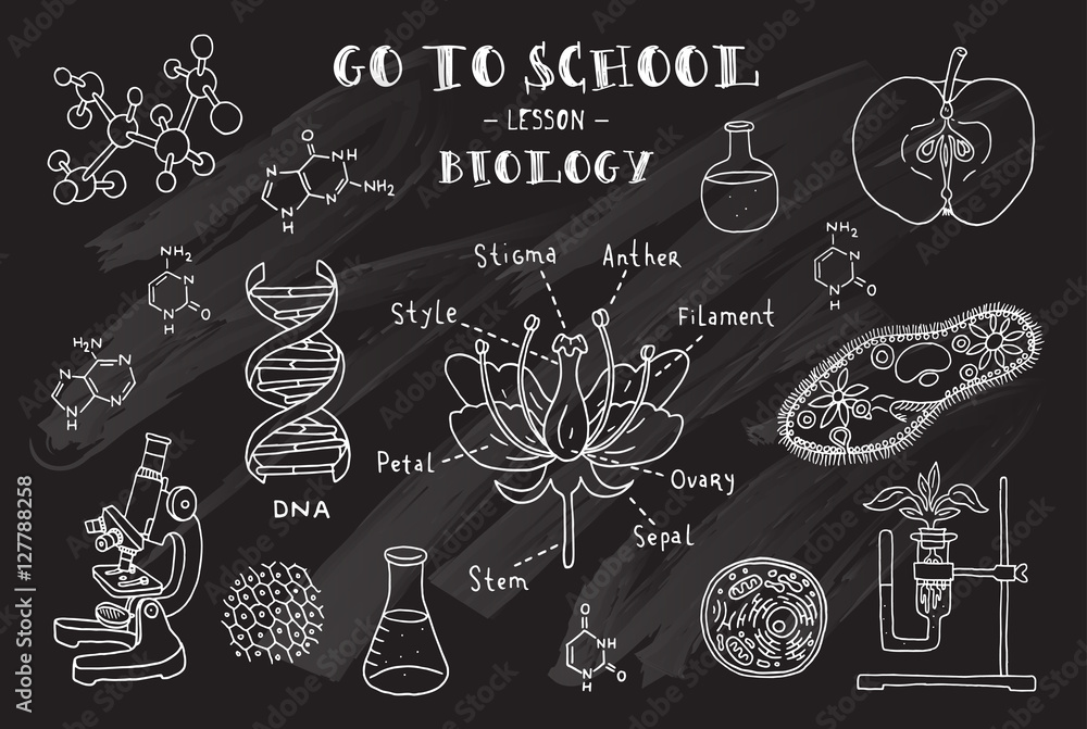 Biology. Hand sketches on the theme of biology. Vector illustration ...