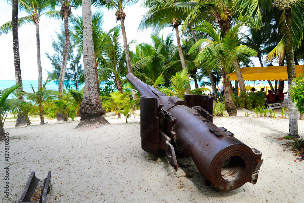 .Artillery left over from World War II on the island of Saipan. Older ...