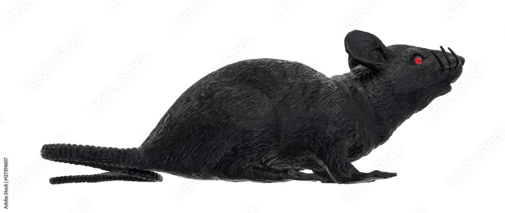 Black plastic toy rat on a white background side view. Stock Photo ...