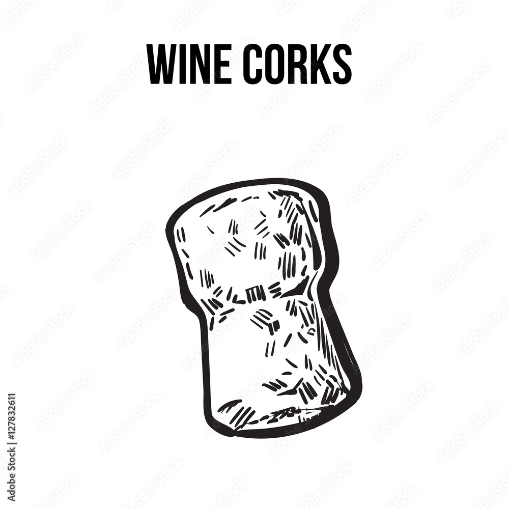 Cork Tree Sketch