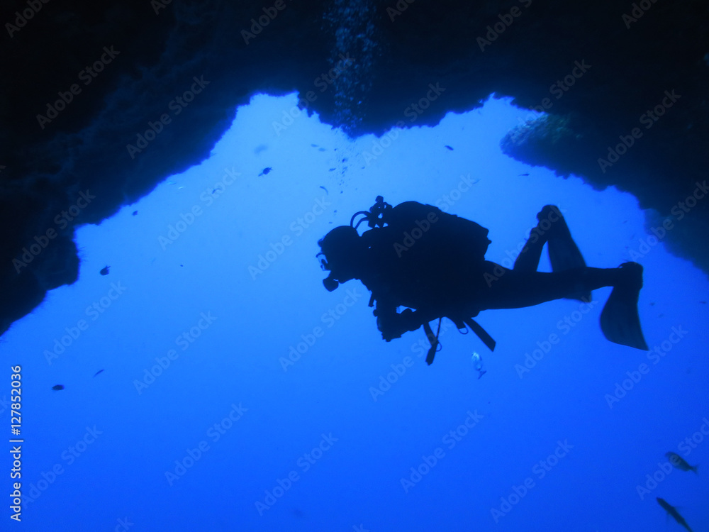 Silhouette scuba diving. Stock Photo | Adobe Stock