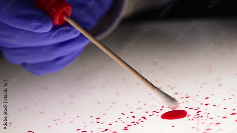 Vidéo Stock Forensic technician taking DNA sample from blood stain with ...