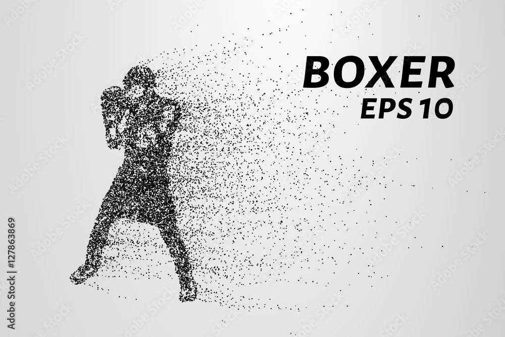 Boxer of the particles. The boxer is made of little circles. The boxer ...