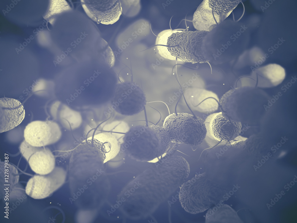 Enterobacteriaceae: large family of Gram-negative bacteria that ...