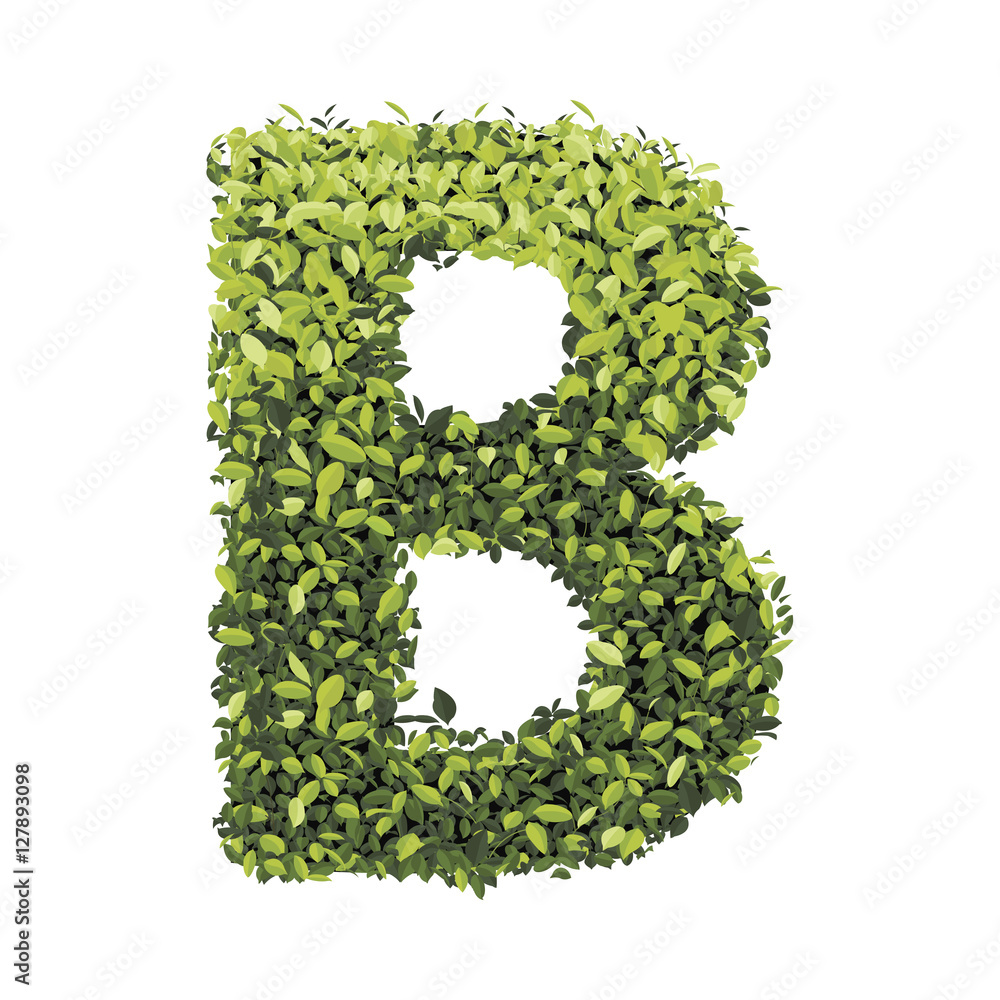 Alphabet of green leaves collection. Vector illustration. Stock Vector ...