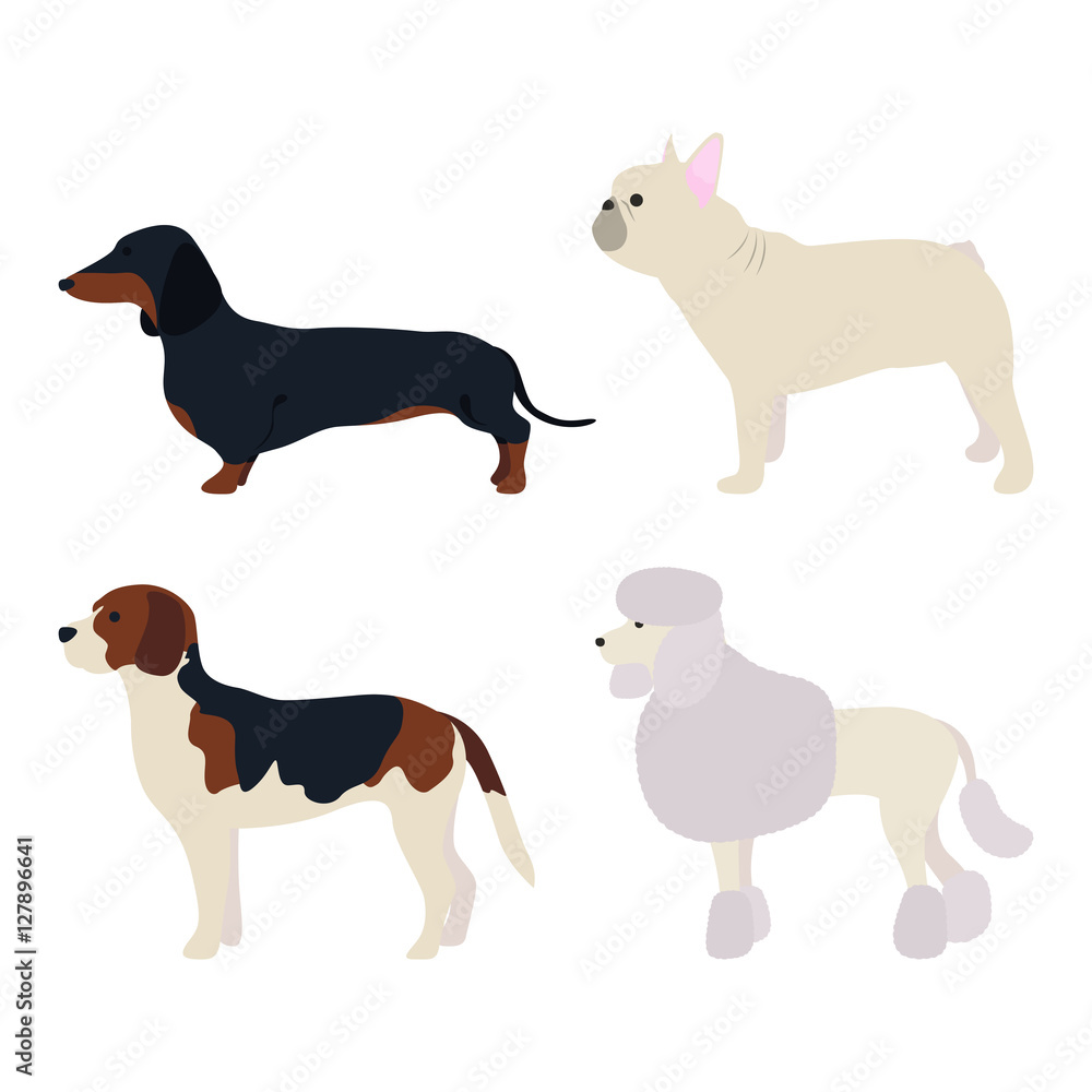 Dog Side View Set 2 Stock Vector | Adobe Stock