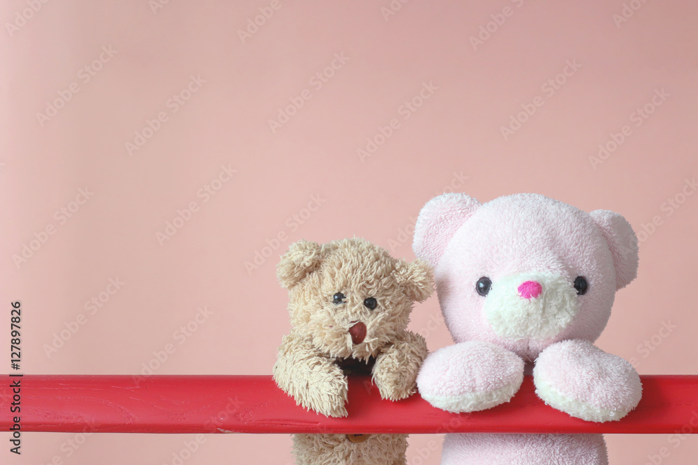 Two teddy bears Stock Photo | Adobe Stock
