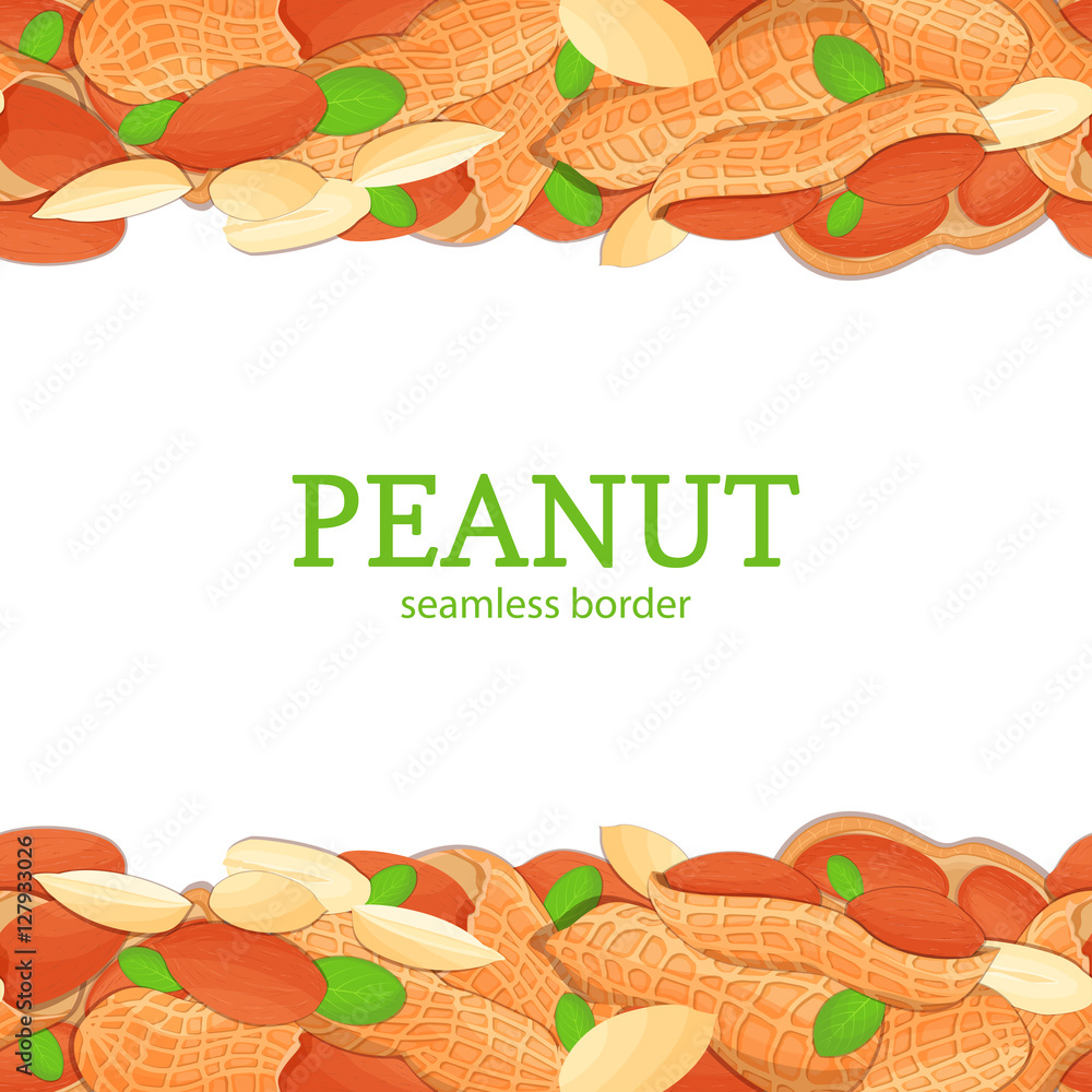 Peanut nut Horizontal seamless border. Vector illustration card top and ...