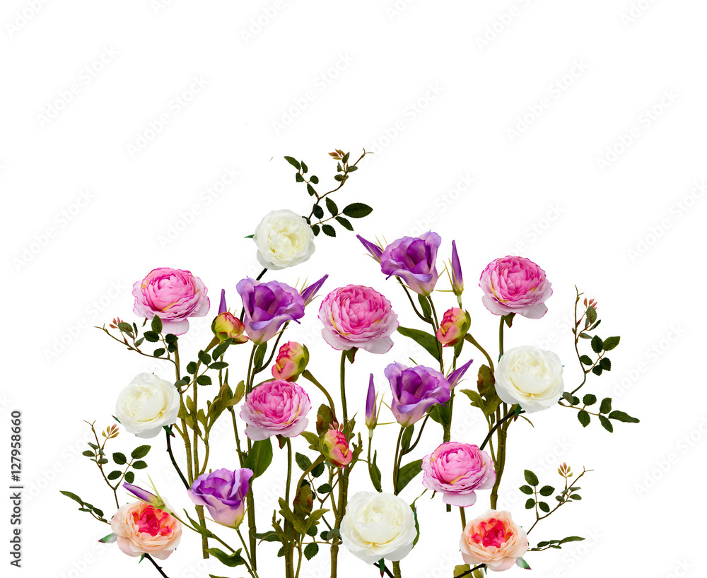 composition of white, pink roses, flowers and leaves isolated on white ...